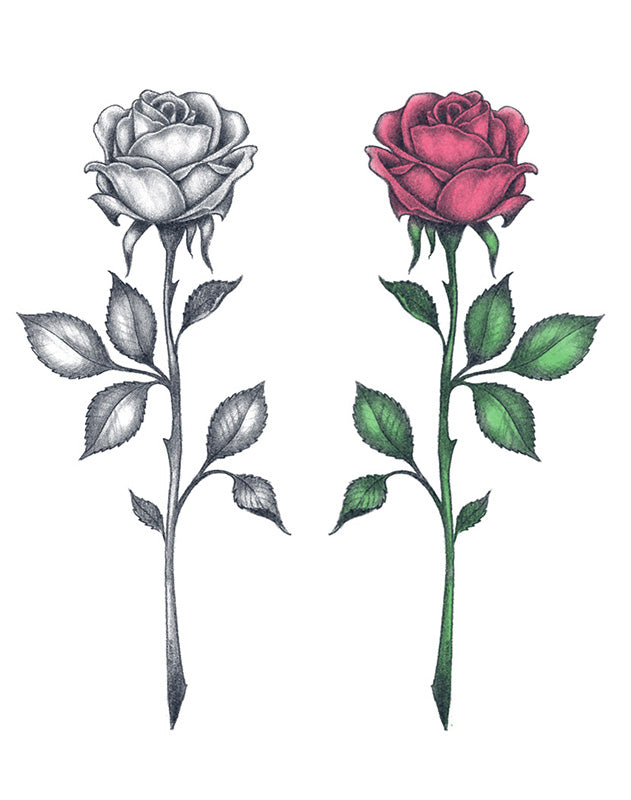Two Roses Tattoo – Tattooed Now