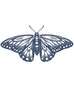 Dotwork Moth – Tattooed Now
