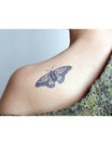 Dotwork Moth – Tattooed Now